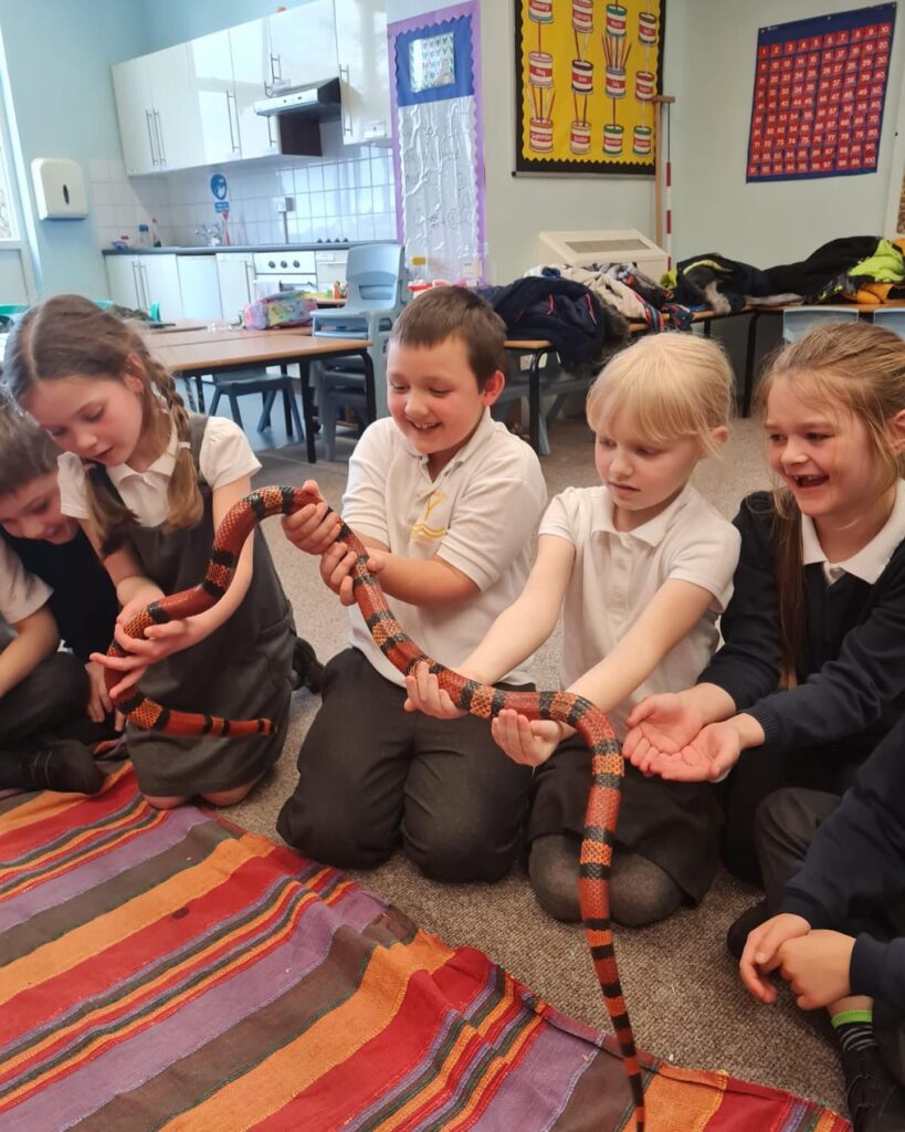 Welcome to Year 4 – Yanwath Primary School